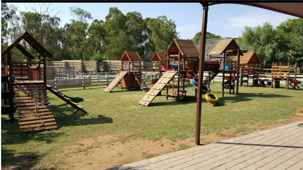 An Enchanting Day at the Benoni Monkey and Bird Park - Explor South Africa